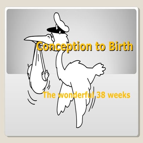 Conception to birth | PPT
