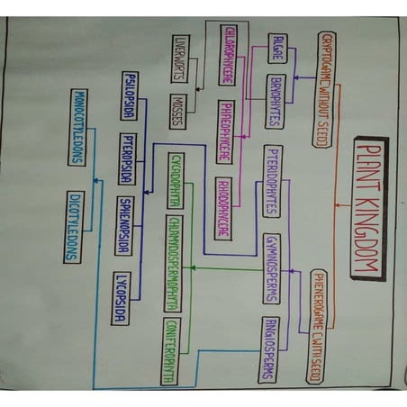 Concept map .pdf