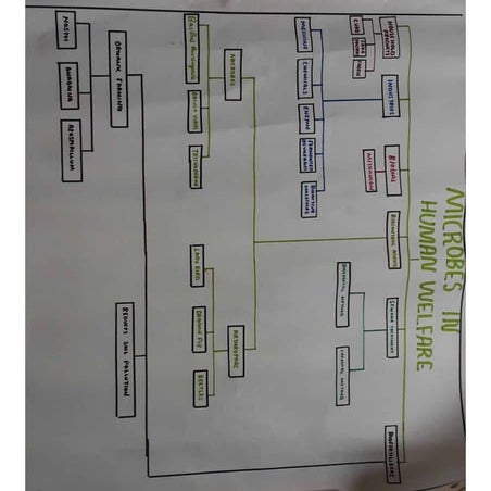 concept map .pdf