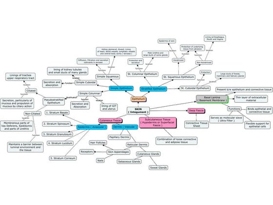 Respiration Concept Map | PPT