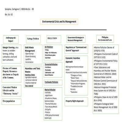 Concept map environmental crisis | DOCX
