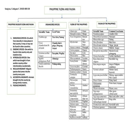 Concept map flora | PPT