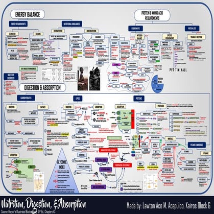 CONCEPT MAP on NUTRITION, DIGESTION, & ABSORPTION | PPT