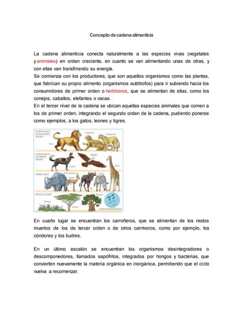 Sopa de letras educaplay | DOCX