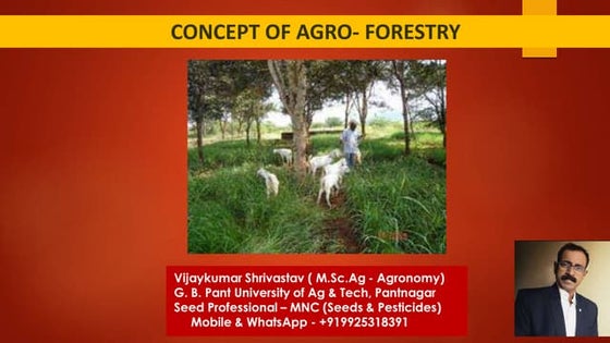 Practices of agroforestry system | PPT