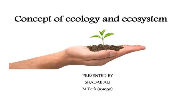 Ecosystem | PPT