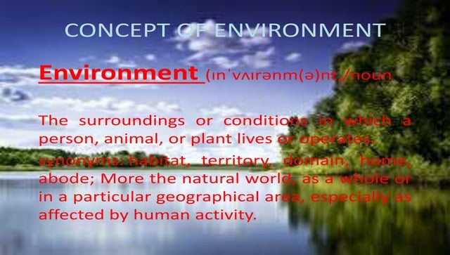 Types of environment | PPT