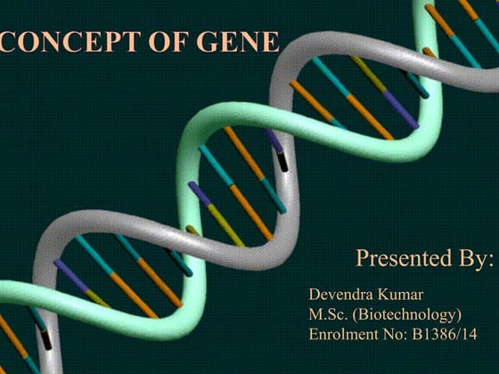 The structure & function of genes | PPTX | Genetics | Science