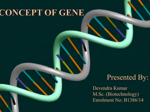 Sex Determination Chromosomal Theory Of Sex Determination Pptx 8506