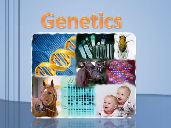 CLASS 10 SCIENCE CHAPTER 9- HEREDITY AND EVOLUTION | PPTX