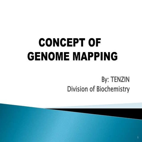 Concept of genome mapping | PPTX | Genetics | Science
