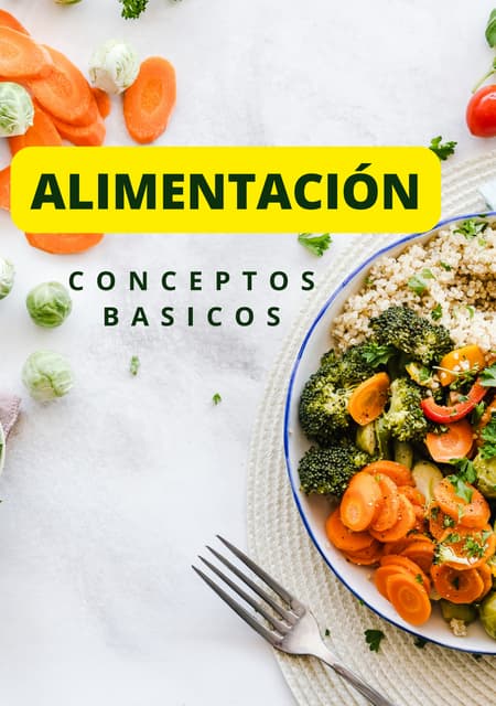 Clasificación de los alimentos según su función | PPT