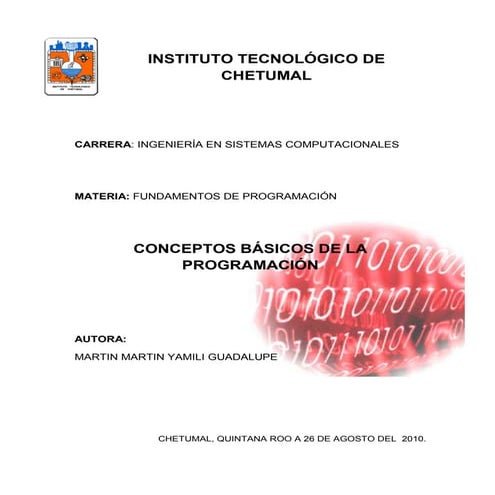 Conceptos basicos de la programacion | PDF