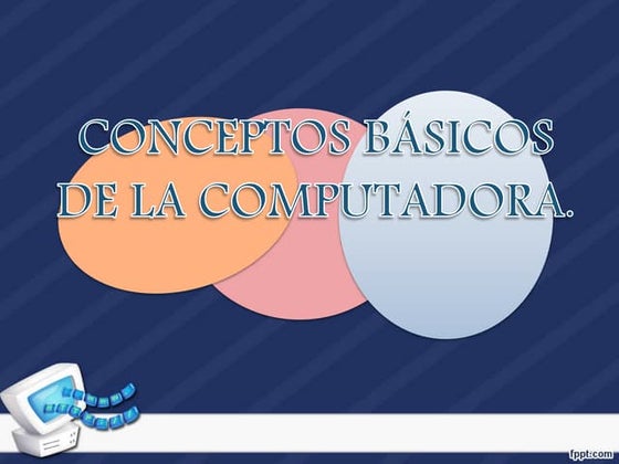 Muhammad sajid jahangir cv doc. | PDF