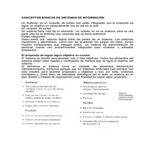 Conceptos básicos de sistemas de información | DOCX | Technology & Computing