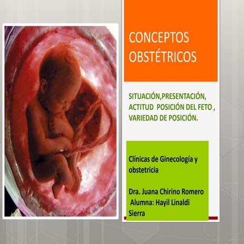Conceptos obstétricos (Situación, presentación, actitud de posición del ...