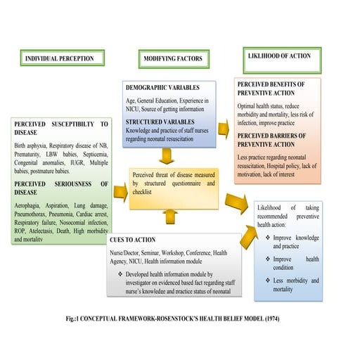 Conceptual frame work of health belief model | PDF