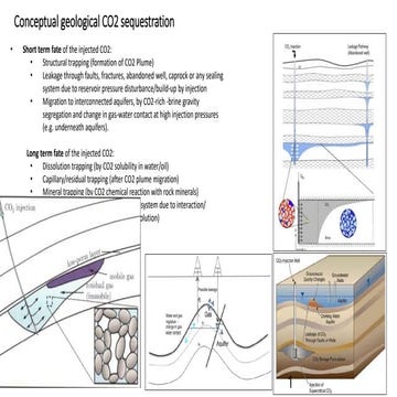 Conceptual geological CO2 sequestration.pptx