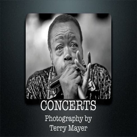 Concert Photography by Terry Mayer | PDF