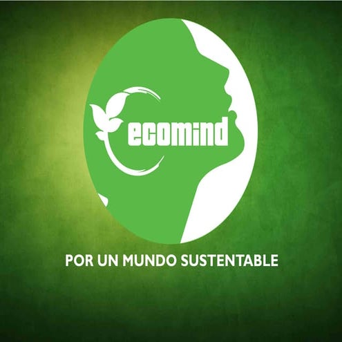 Taller no 1 competencia ambiental | DOCX