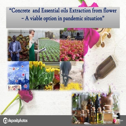 Concrete and Essential oils Extraction from flowers.pptx
