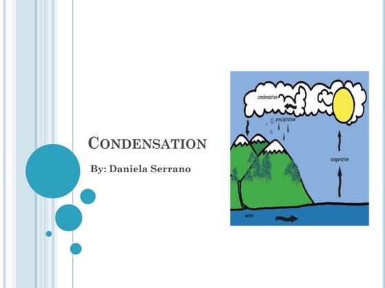 Refluxing Condensation Systems (Dephlegmators) | PDF