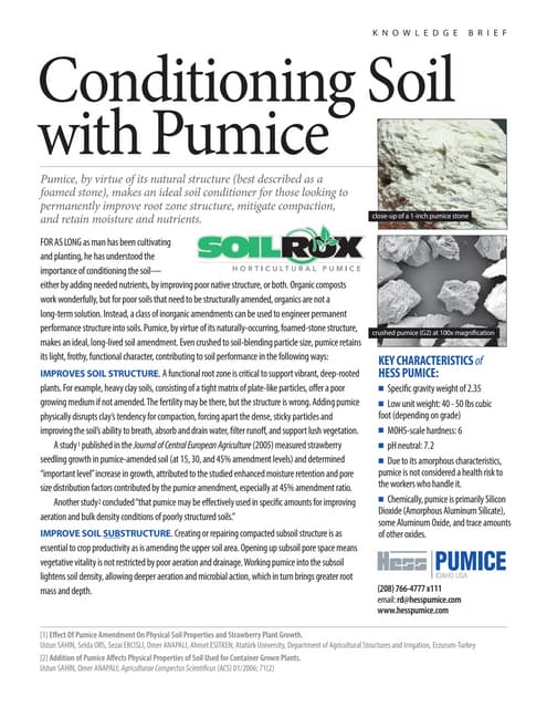 Pumice Pozzolan Data Sheet | PDF