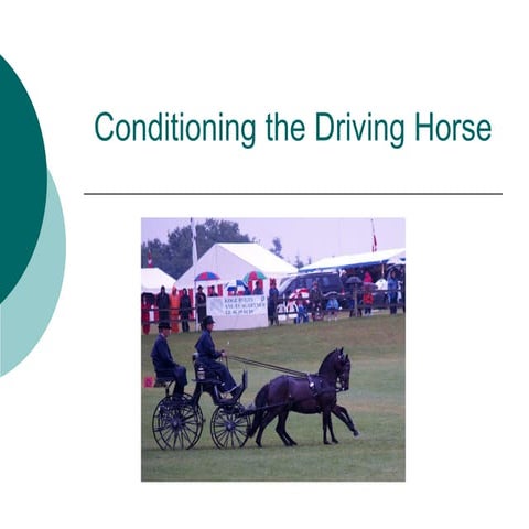 Conditioning the driving horse | PDF