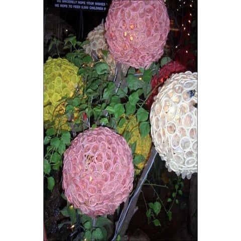 Condom Flowers | PPT