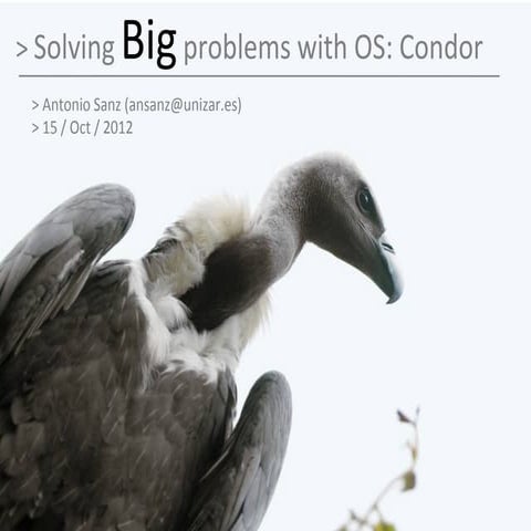Solving Big problems with Condor - II HPC Sysadmins Meeting | PDF