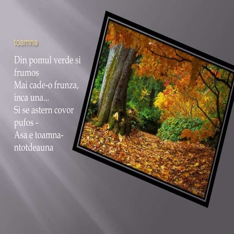 Toamna | PPTX