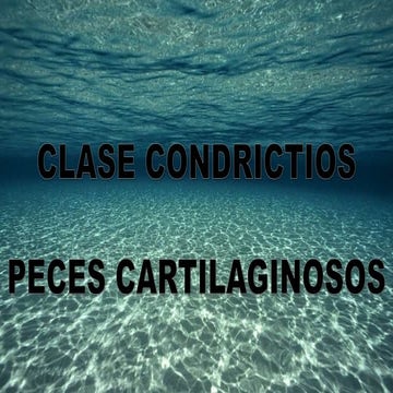 Condrictios | PPTX