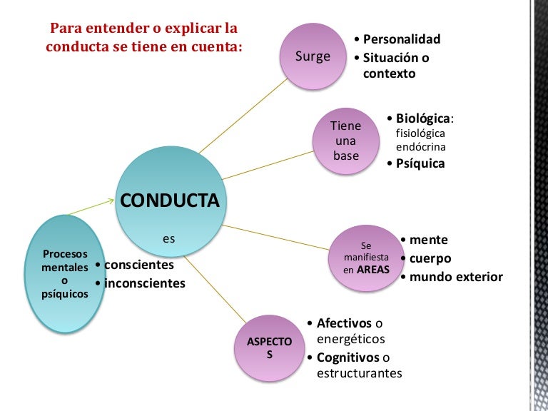 La Tabla De Puntos Para Mejorar La Conducta Del Niño F8E