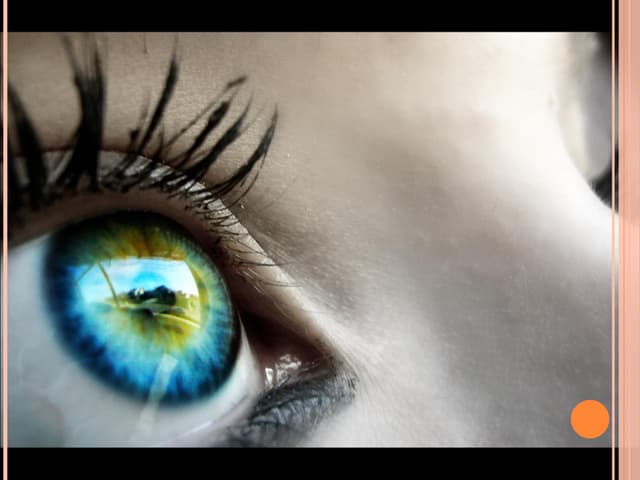 Do s2016 035 LAC | PDF