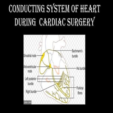 conducting system of heart.pdf