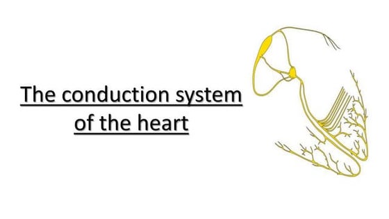 The Cardiac Cycle | PPT