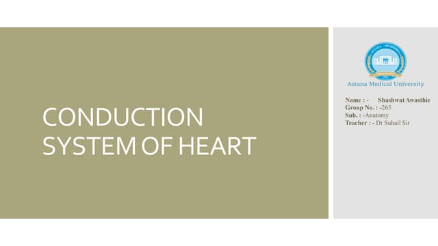 Cardiac conduction system | PPT