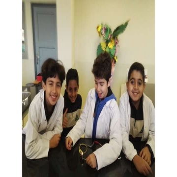 Conductors and insulators lab activity | PPTX | Physics | Science