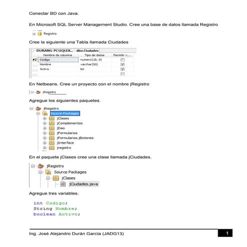 Conectar una bd de sql con java | PDF