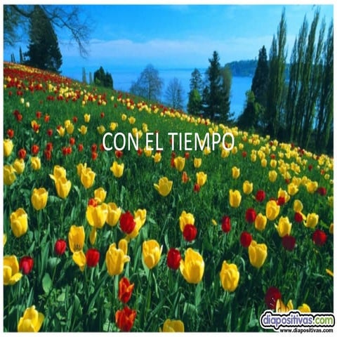 CON EL TIEMPO - JORGE LUIS BORGES | PPT