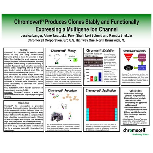 Conference.poster.ionchannel | PDF