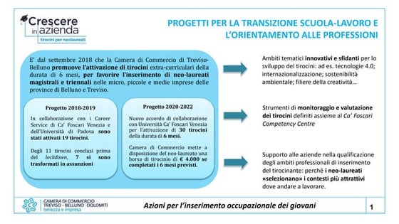Curriculum vitae luca gravina | PDF