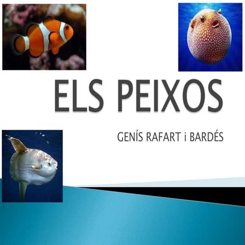 Conferència peixos genís | PPTX