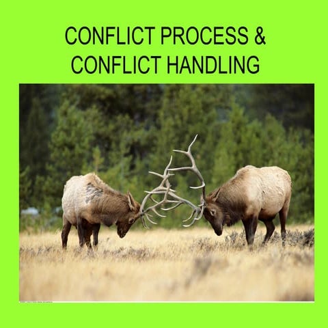 Conflict Process and Conflict Handling.ppt