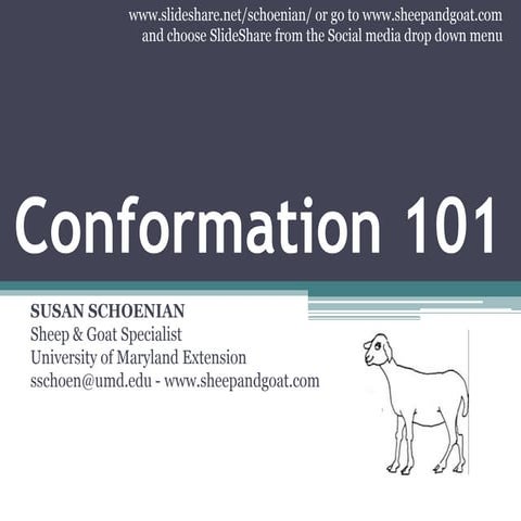Conformation 101 | PPTX