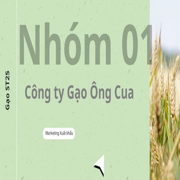 Cong-ty-Gao-Ong-Cua-Hanh-trinh-Chinh-phuc-Thi-truong-Xuat-khau-Gao-Toan-cau.pptx
