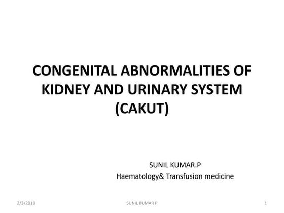 CONGENITAL MALFORMATIONS OF KIDNEY | PPT