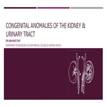 Congenital Anomalies of the Kidney & Urinary Tract | PPTX