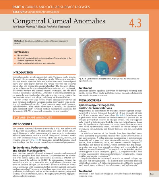Congenital anomalies of eyelid Quick Review | PPTX | Eye and Vision ...