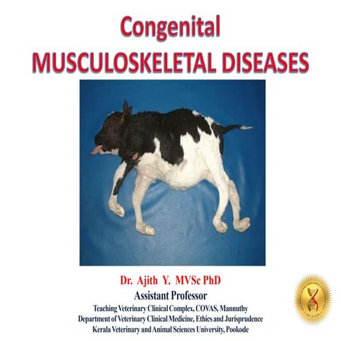 Congenital musculoskeletal diseases of domestic animals | PDF